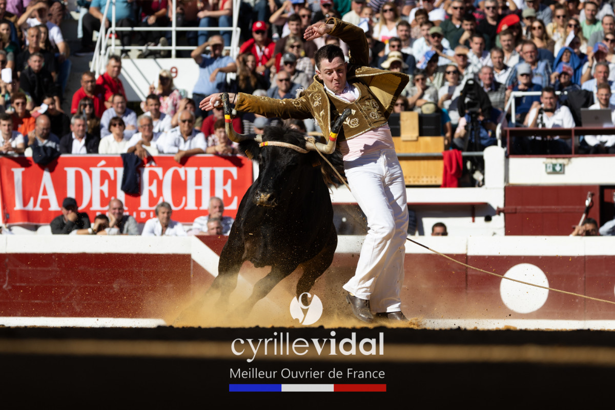 Championnat de France de course landaise 2024 | Studio Cyrille VIDAL ...